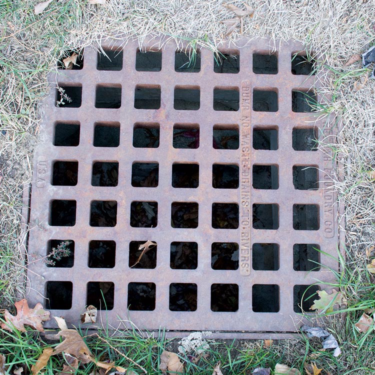 Day 3 [Week 4] [3 – 5 Years] – Purdue ELM