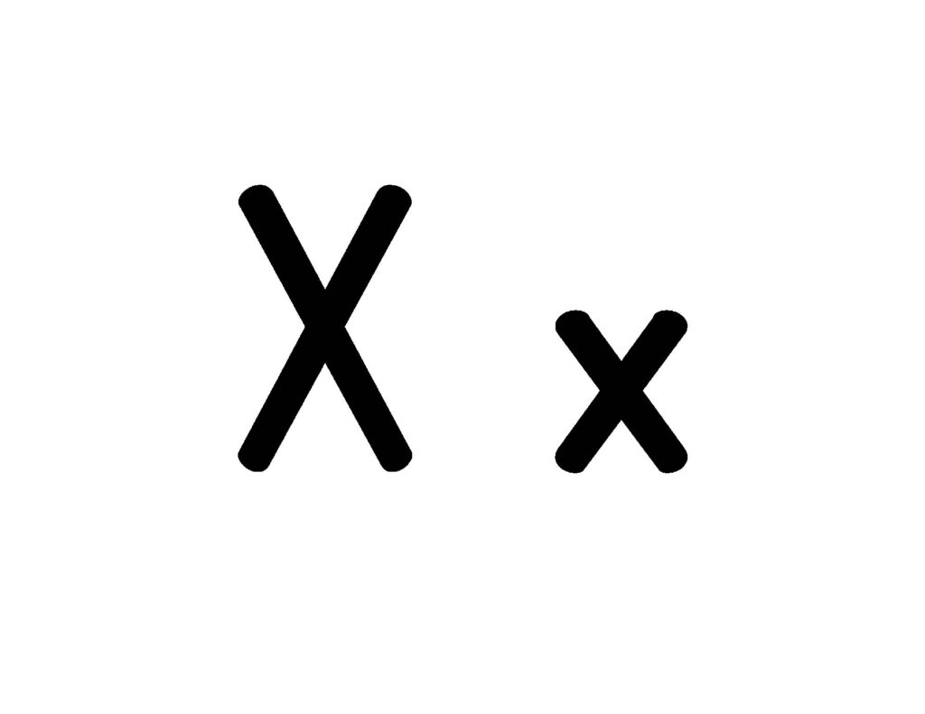 Day 2 [Week 13] [3 – 5 Years] – Purdue ELM