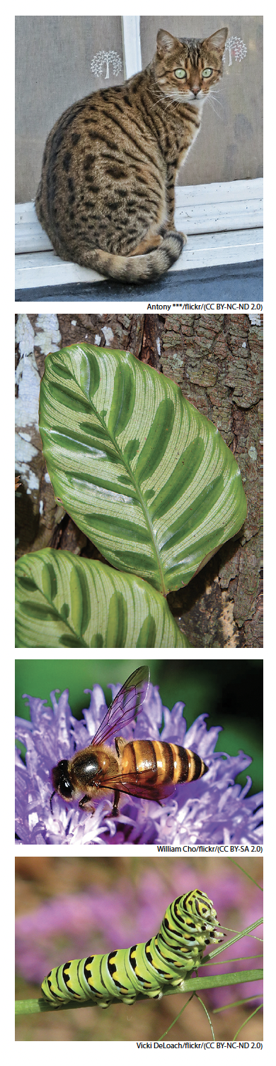 Day 3 [Week 14] [3 – 5 Years] – Purdue ELM