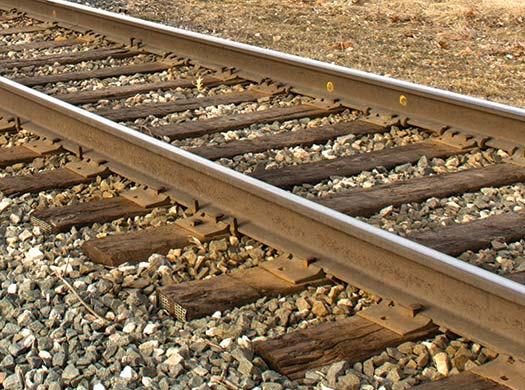 Day 3 [Week 41] [3 – 5 Years] – Purdue ELM