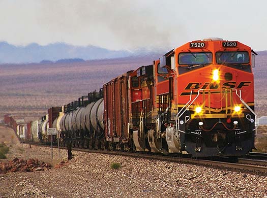 Day 5 [Week 41] [3 – 5 Years] – Purdue ELM