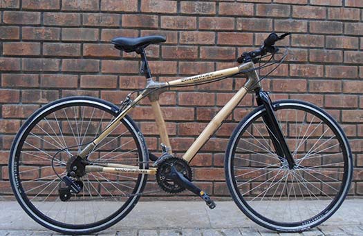 Day 5 [Week 41] [3 – 5 Years] – Purdue ELM