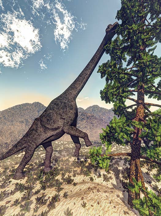 Day 3 [Week 47] [3 – 5 Years] – Purdue ELM