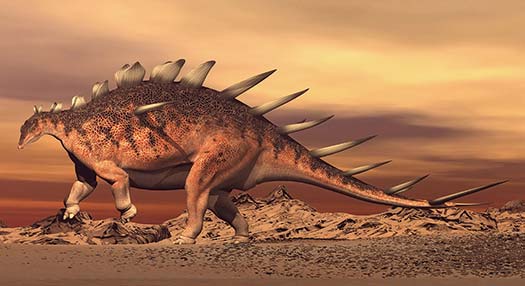 Day 3 [Week 47] [3 – 5 Years] – Purdue ELM